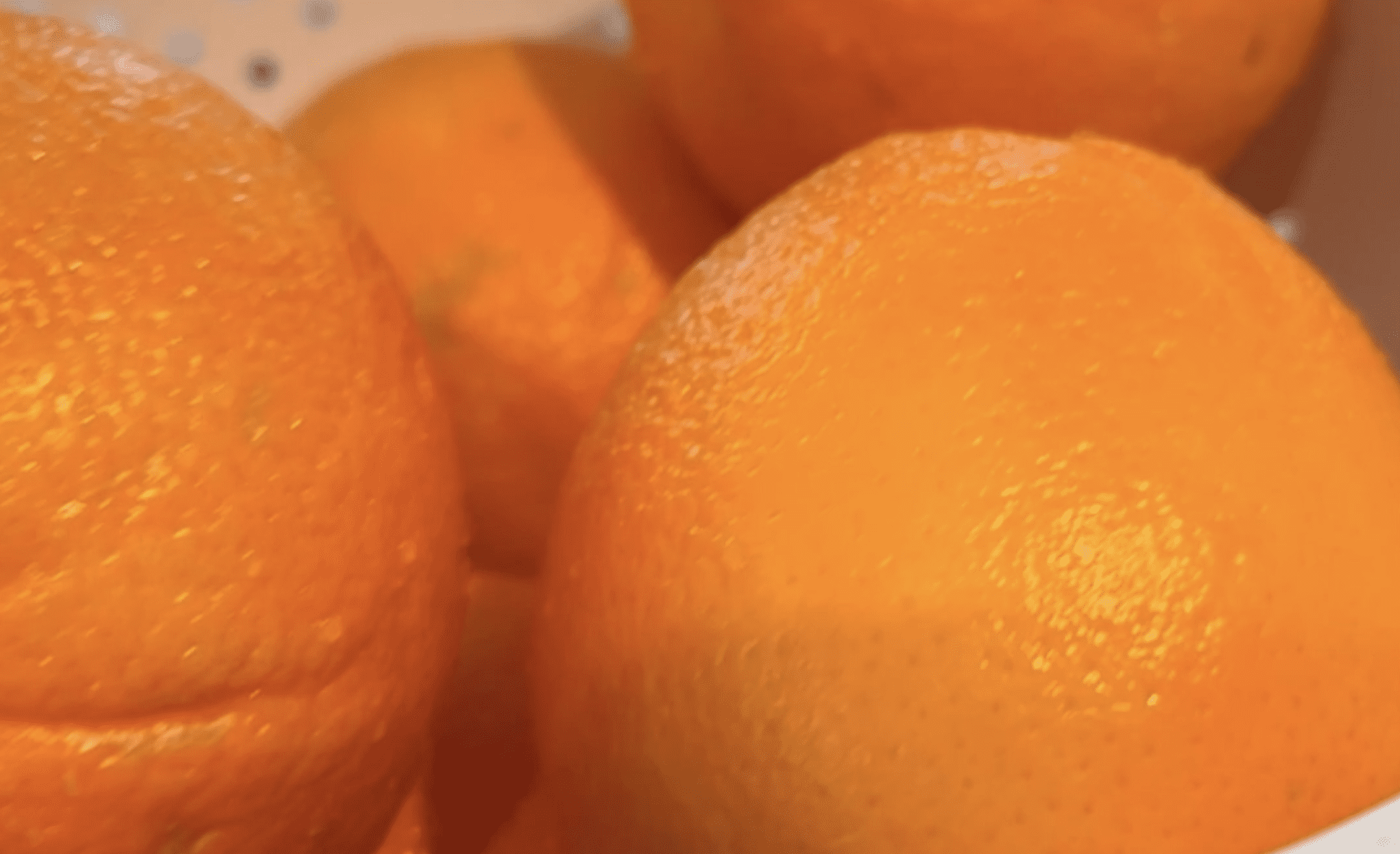 Wholesale California Navel Oranges | City Wide Produce