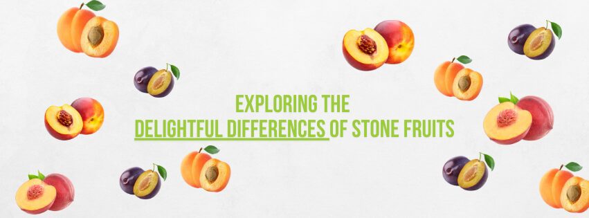 The Delightful Differences of Stone Fruits | City Wide Produce